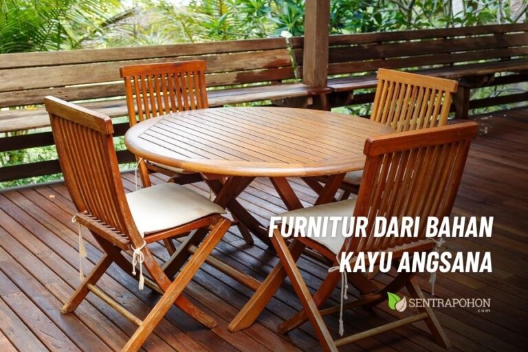 Mengenal Kayu Angsana, Banyak Dicari Orang Karena Manfaatnya